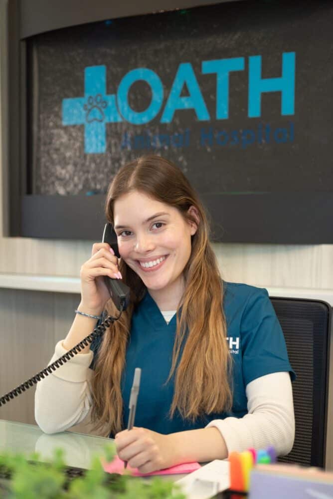 ⭐ 5 GREAT Reasons To Choose Oath As Your Trusted Vet