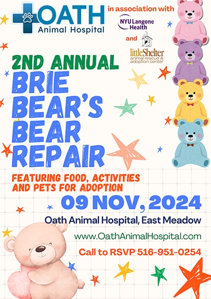 Oath Animal Hospital | Best Veterinarian In East Meadow, NY