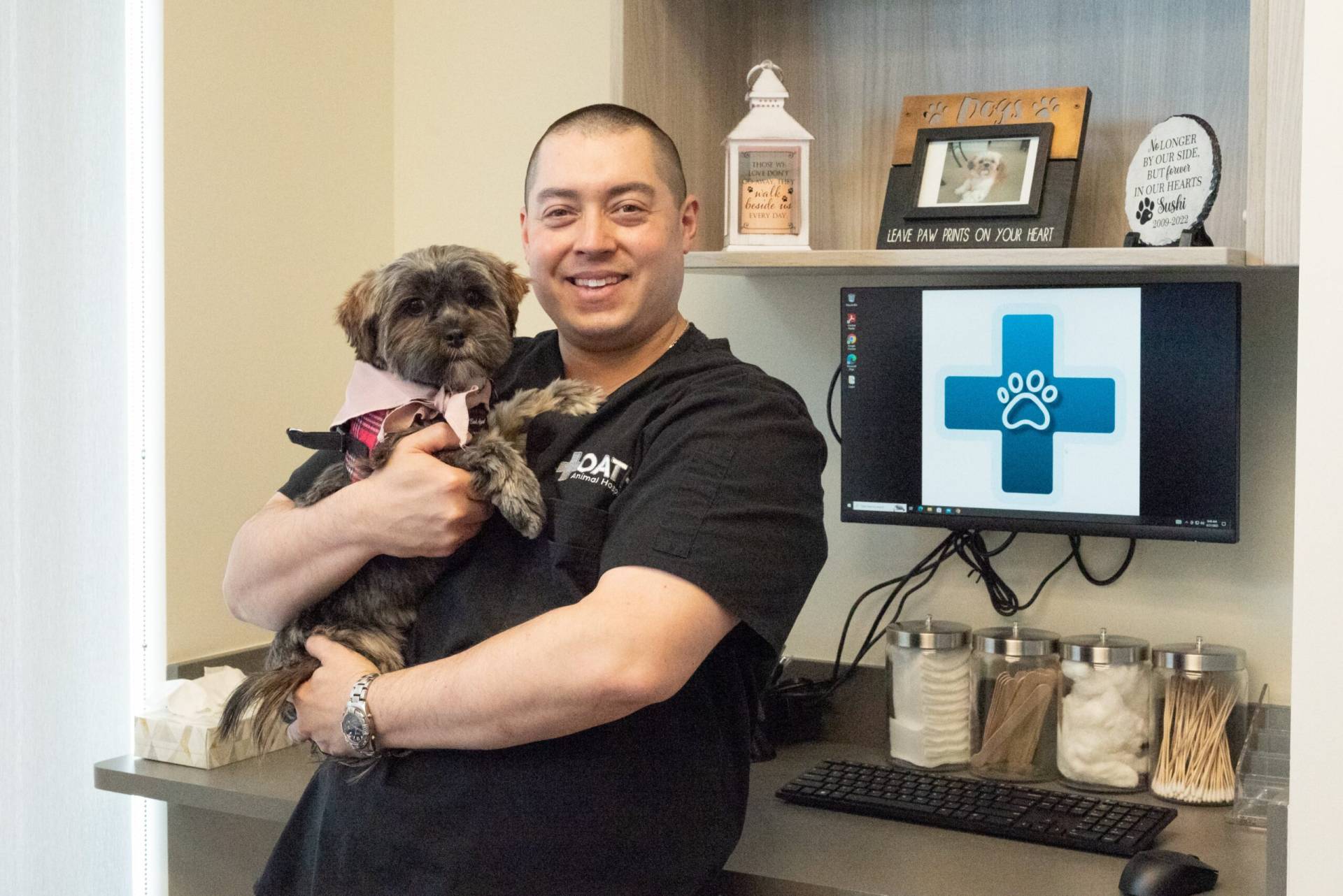 Oath Animal Hospital | Best Veterinarian In East Meadow, NY